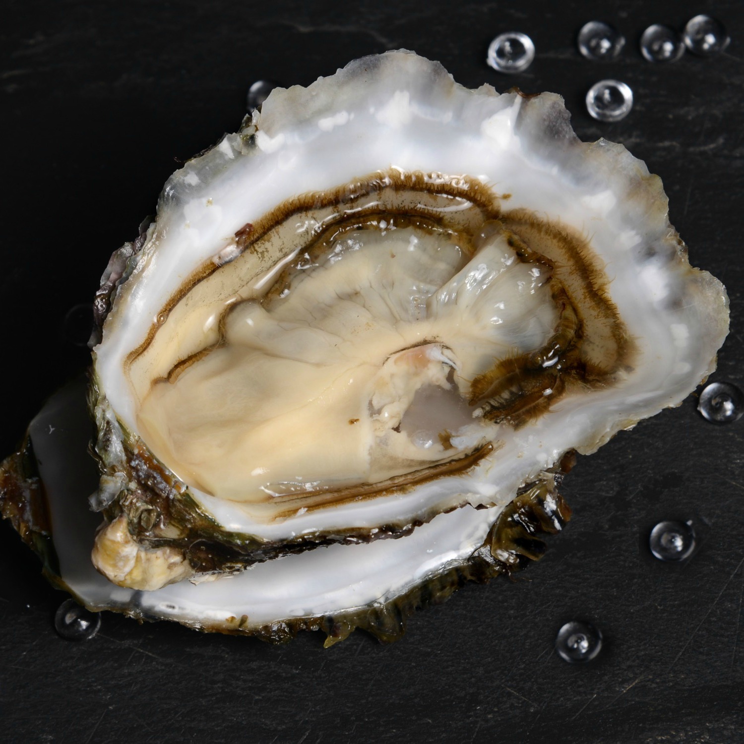 Calibre 00 - 4 huîtres/Kg - Exploitation conchylicole La Noisette d'Oc